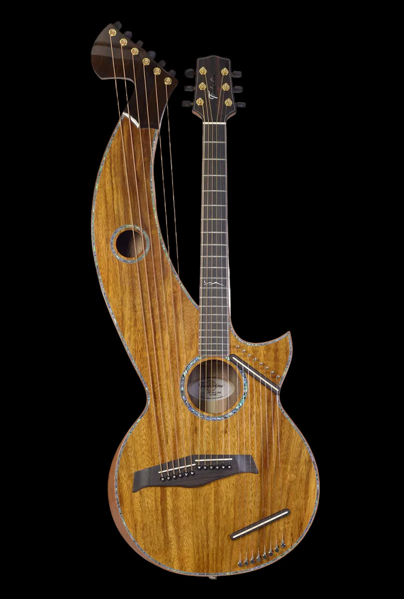 Premium Harp Guitars for Sale | T20, T30, T60, T70, T80 Series ...
